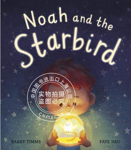 现货 诺亚与星鸟 英文原版 Noah and the Starbird Barry Ti