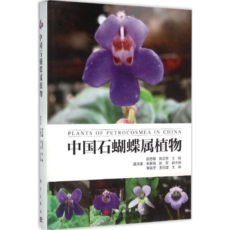 中国石蝴蝶属植物