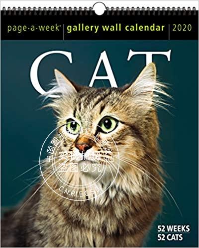 现货 Cat Page-A-Week Gallery Wall Calendar 2020
