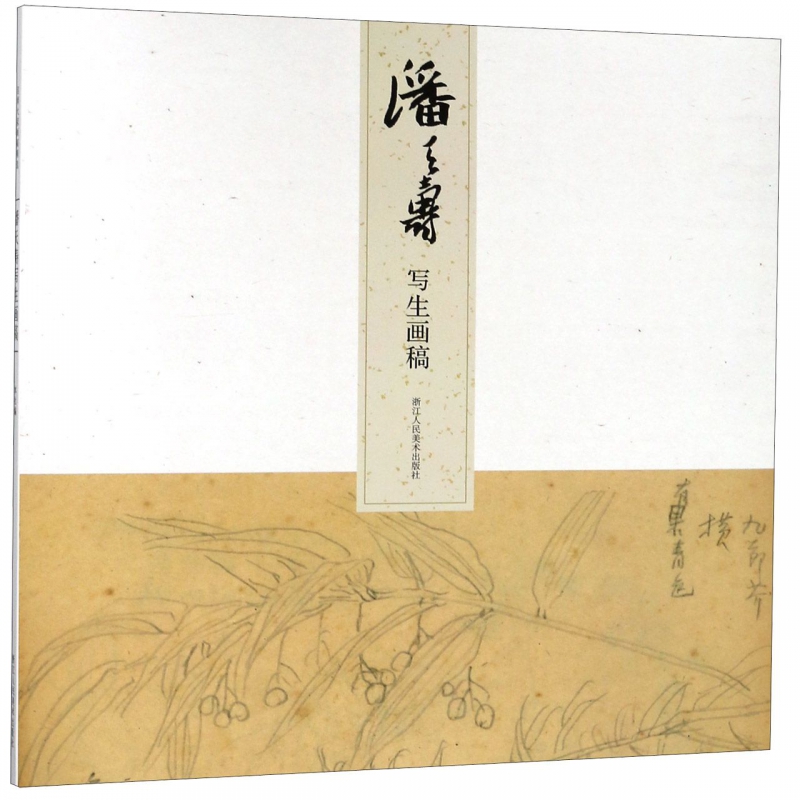 潘天寿写生画稿