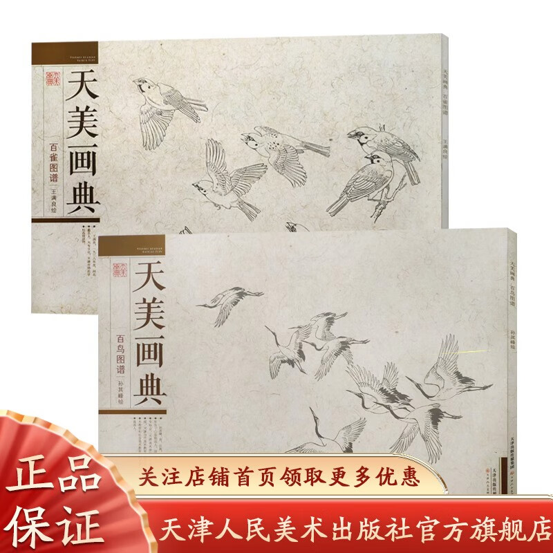 【官方旗舰店】 天美画典百鸟图谱百雀图谱王满良孙其峰花鸟画传统技法解析教程线描白描底稿中国画临摹绘画教材初学国画动物 天津人美