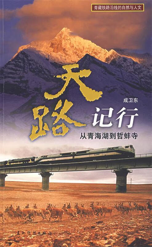 天路记行：从青海湖到哲蚌寺