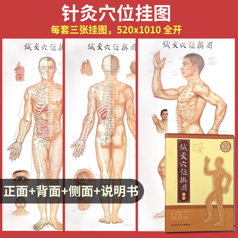 针灸穴位挂图 第5版 靳士英/金完成/靳朴编 针灸穴位人体挂图 经络 穴位 人民卫生出版社