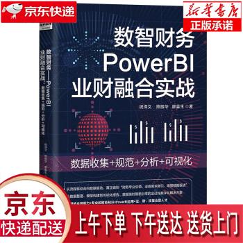 【新华畅销图书】数智财务-PowerBI 业财融合实战（数据收集+规范+分析+可视化）