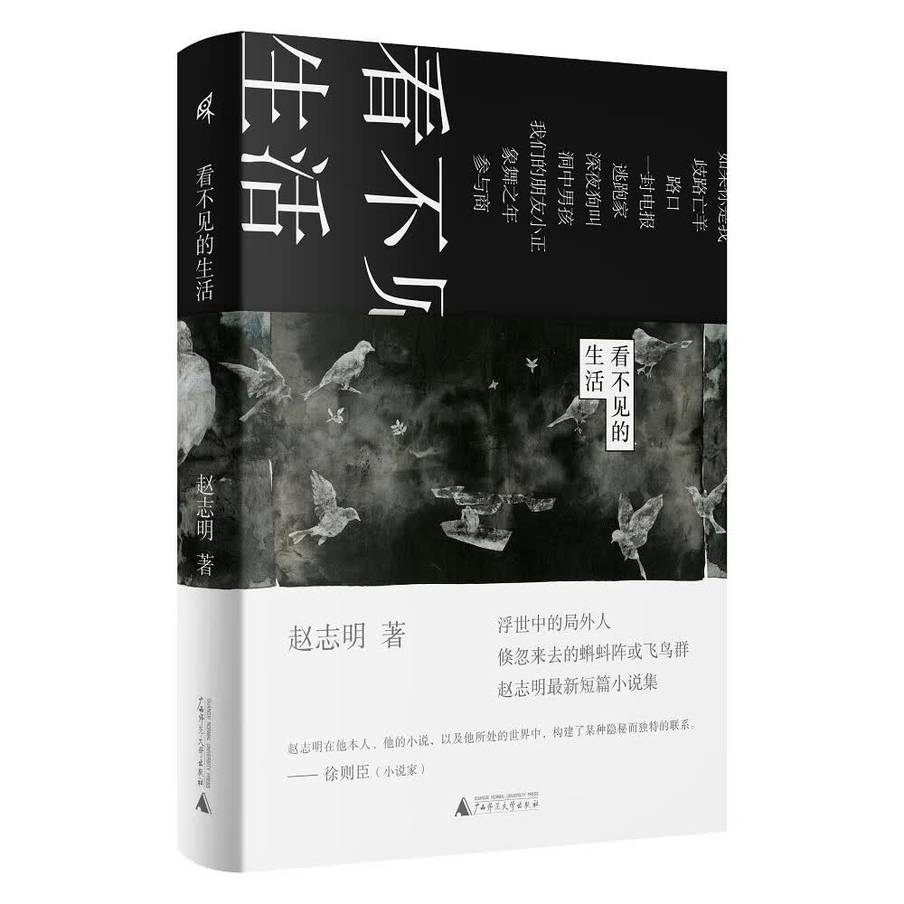 新民说·看不见的生活（第七届“华语青年作家奖”双子星奖得主赵志明作品集）
