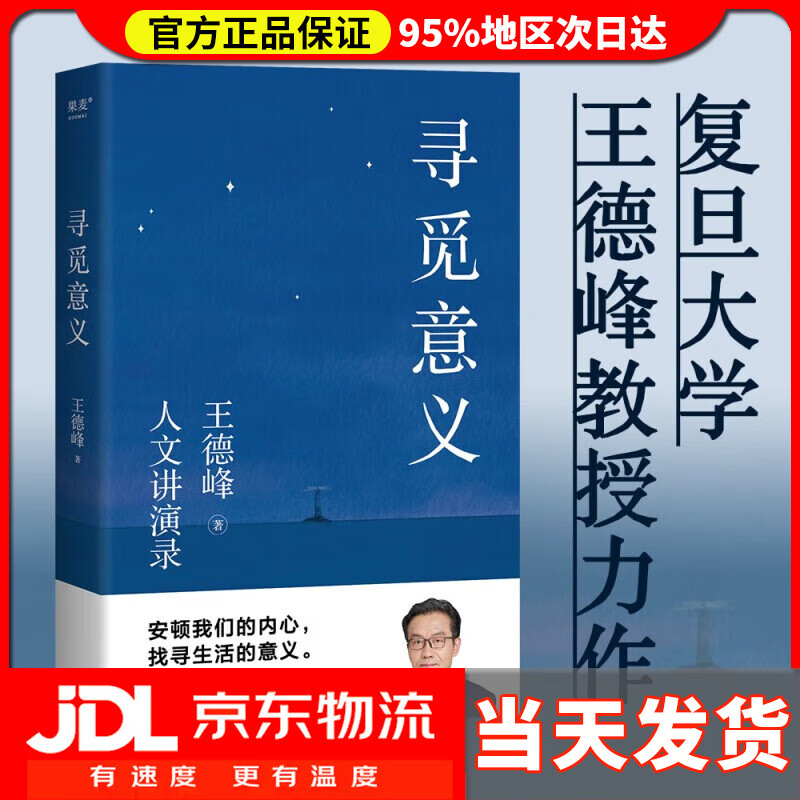 寻觅意义 复旦大学哲学教授王德峰的书籍 山东文艺出版社
