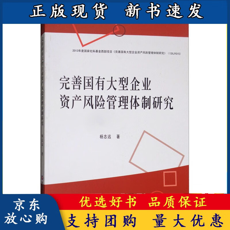 完善国有大型企业资产风险管理体制研究