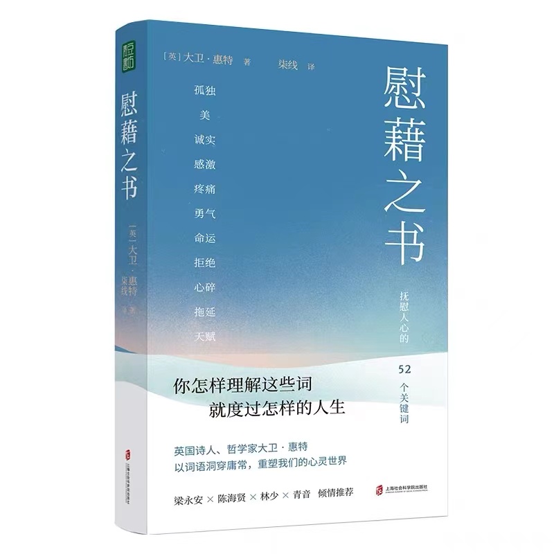 慰藉之书 (英)大卫·惠特 柒线 译 书籍