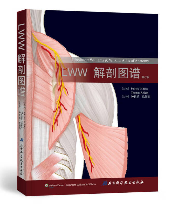 【书】LWW解剖图谱(修订版)