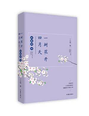 一树花开四月天:林徽因传 丁立梅 作家出版社