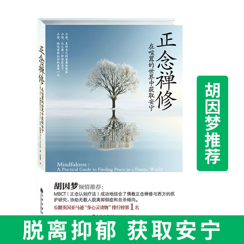 正念禅修胡因梦在喧嚣的世界中获取安宁正念减压疗法走出抑郁症宗教哲学身心灵禅修读物扫码试听静心心灵读物