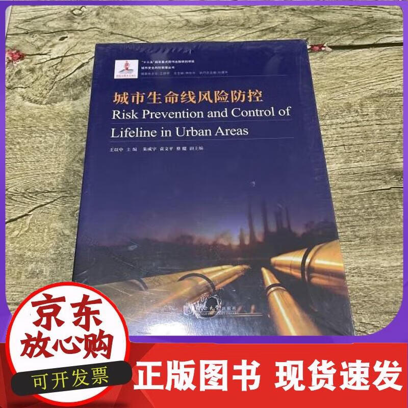城市安全风险管理丛书：城市生命线风险防控