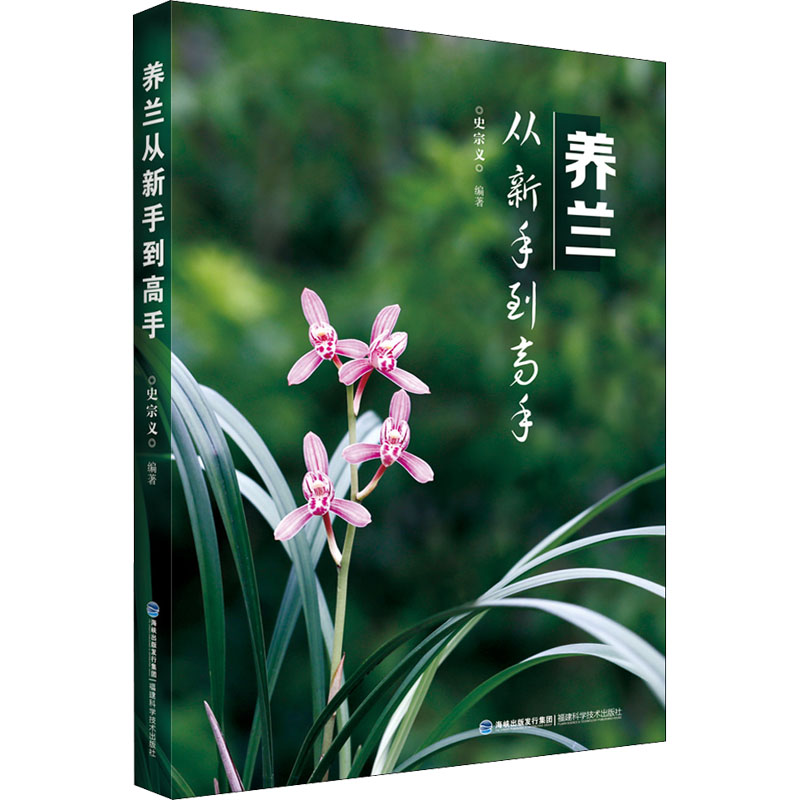 养兰从新手到高手