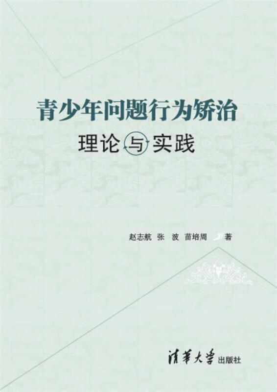 青少年问题行为矫治理论与实践