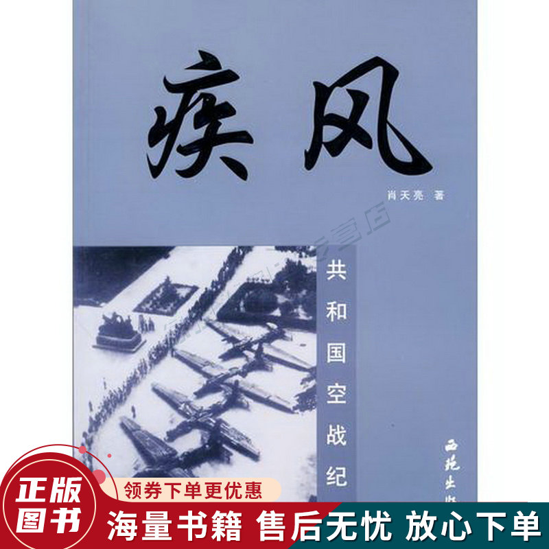 疾风－共和国空战纪实