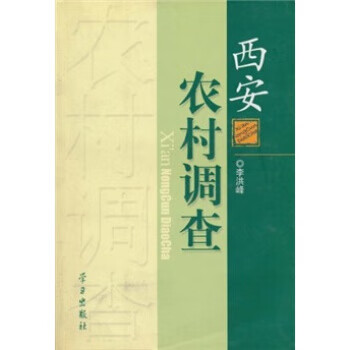 西安农村调查 李洪峰 著【好书，下单速发】