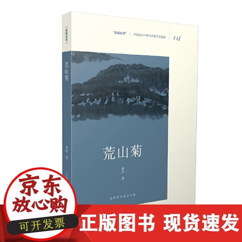 【现货】荒山菊