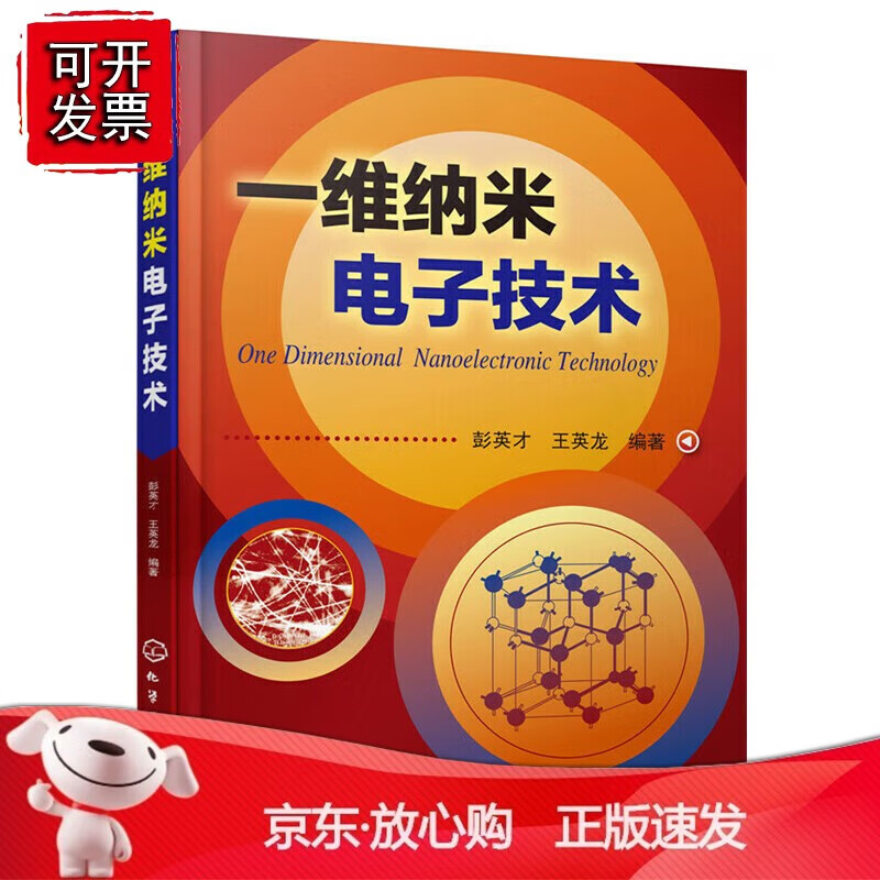 一维纳米电子技术