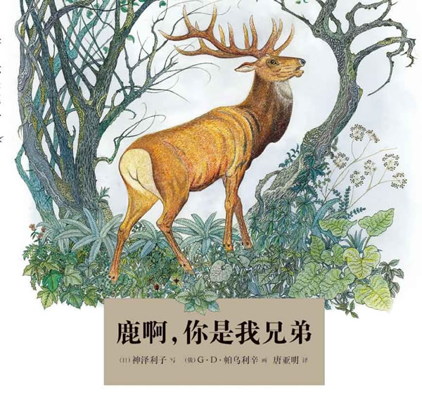 鹿啊，你是我兄弟 (日)神泽利子【书】