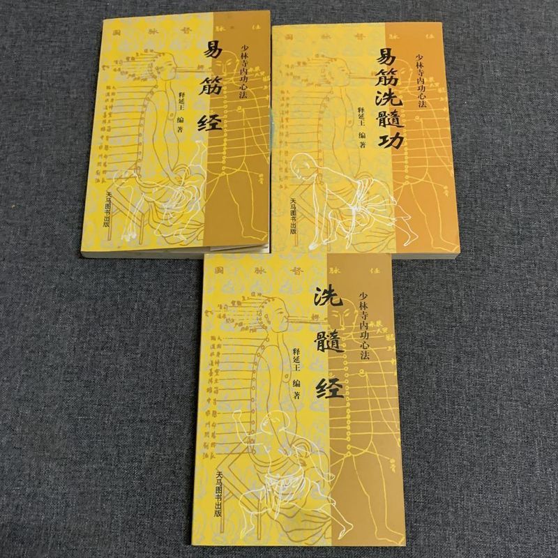易筋经+洗髓经+易经洗髓功 三册合售 释延王著