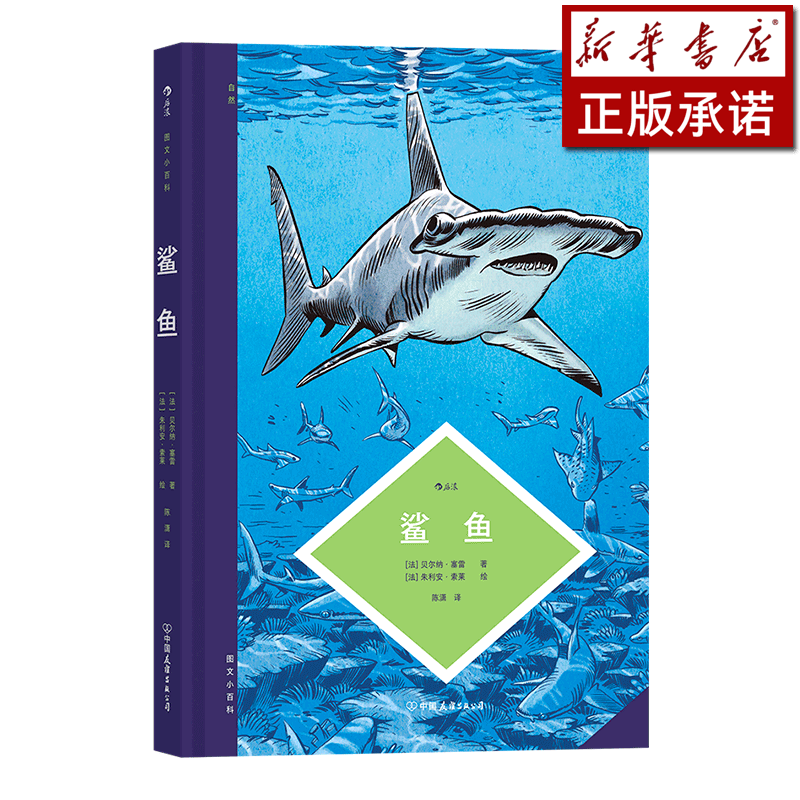 鲨鱼(精)/图文小百科