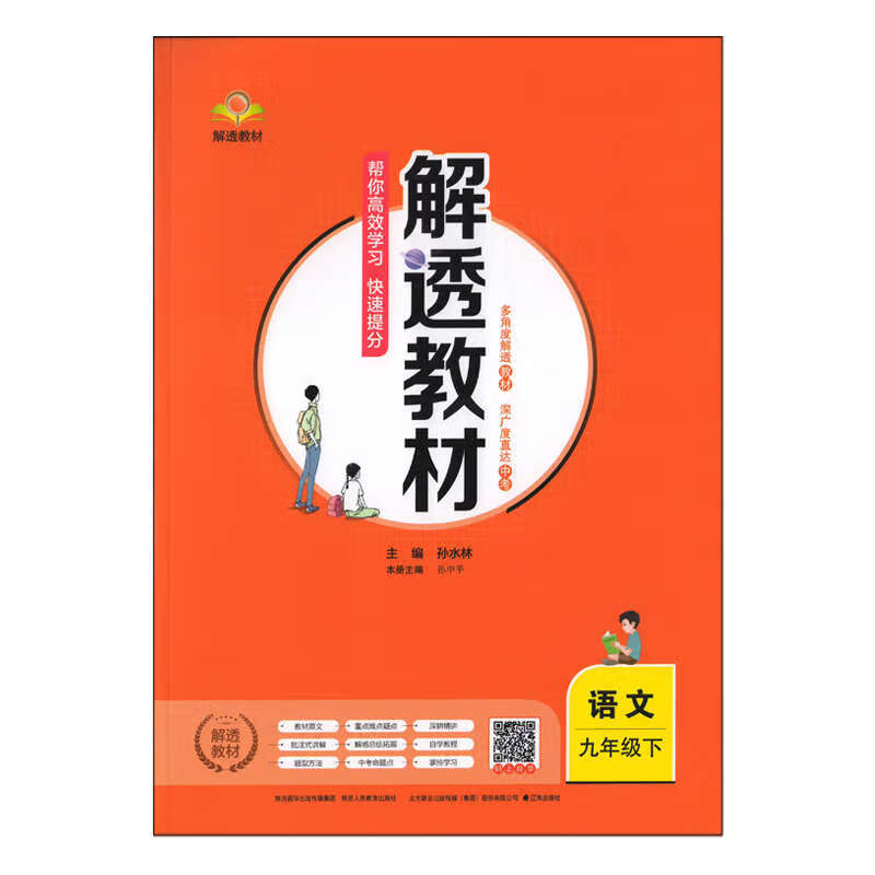 2023解透教材初中册语文英语教材课本同步解读 化学 九年级下