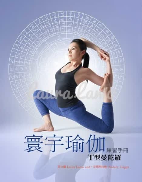 现货 UniversalYoga 寰宇瑜伽練習手冊 T型曼陀羅 体位法详解