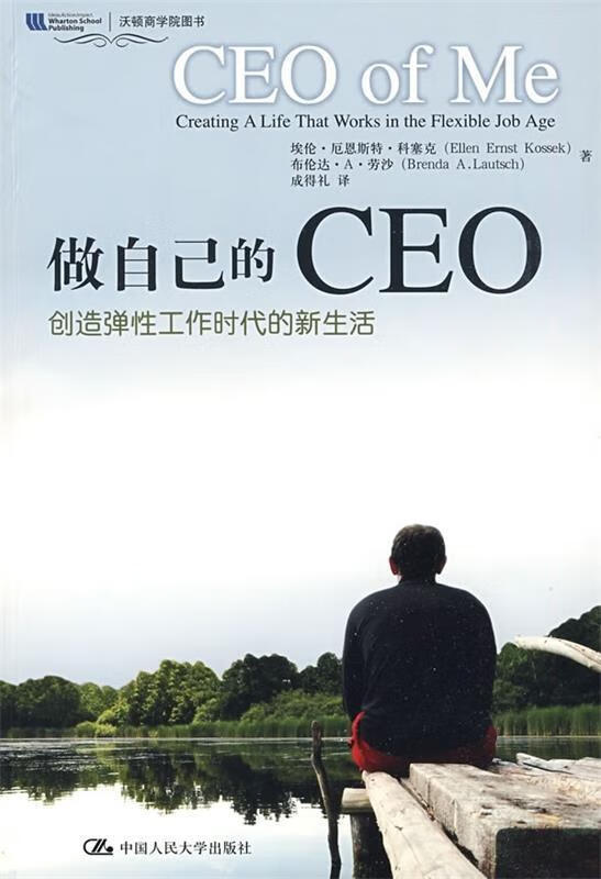 做自己的CEO【好书，下单速发】