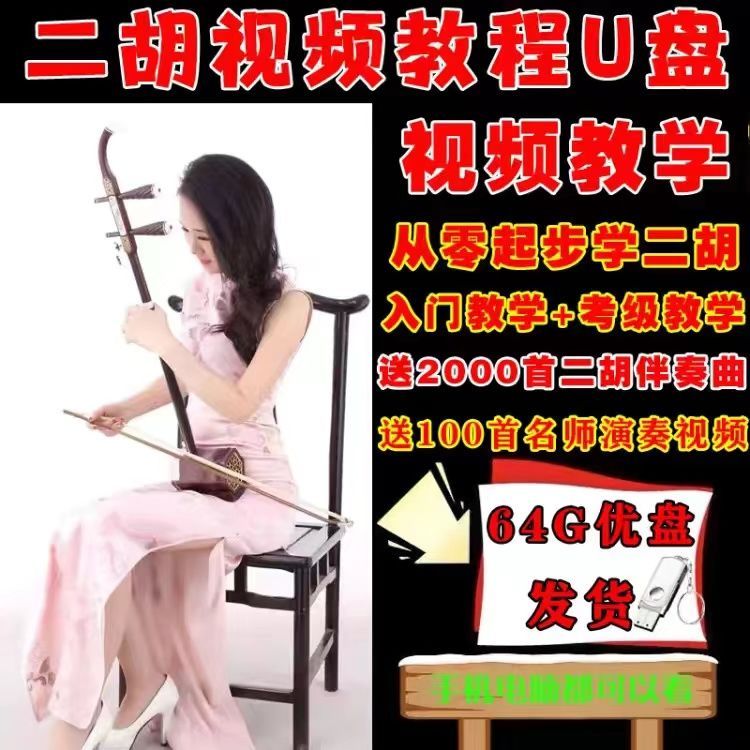 二胡教程全套U盘内存卡64G零基础入门到精通视频MP4全套二胡教材 64GB视频教学+伴奏+名家演奏视频