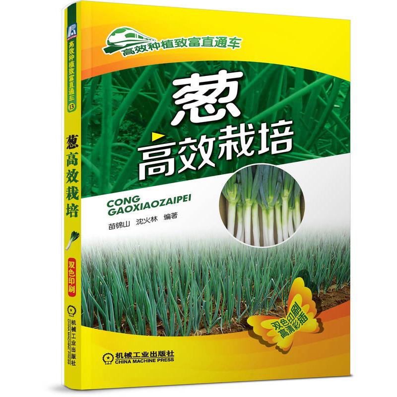 葱高效栽培