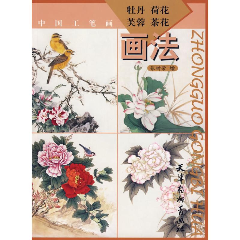 牡丹荷花芙蓉茶花画法