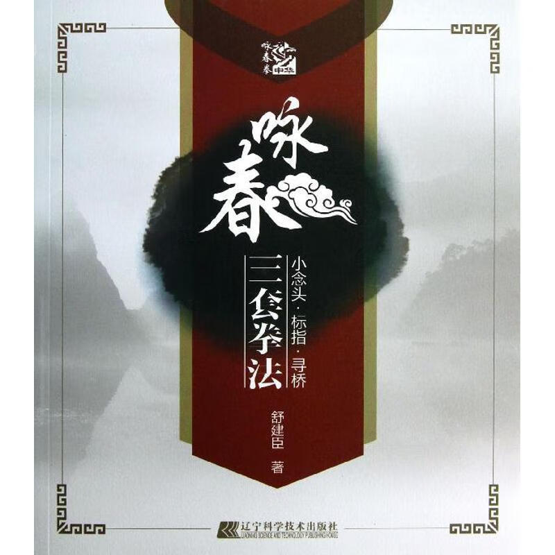 咏春三套拳法 舒建臣