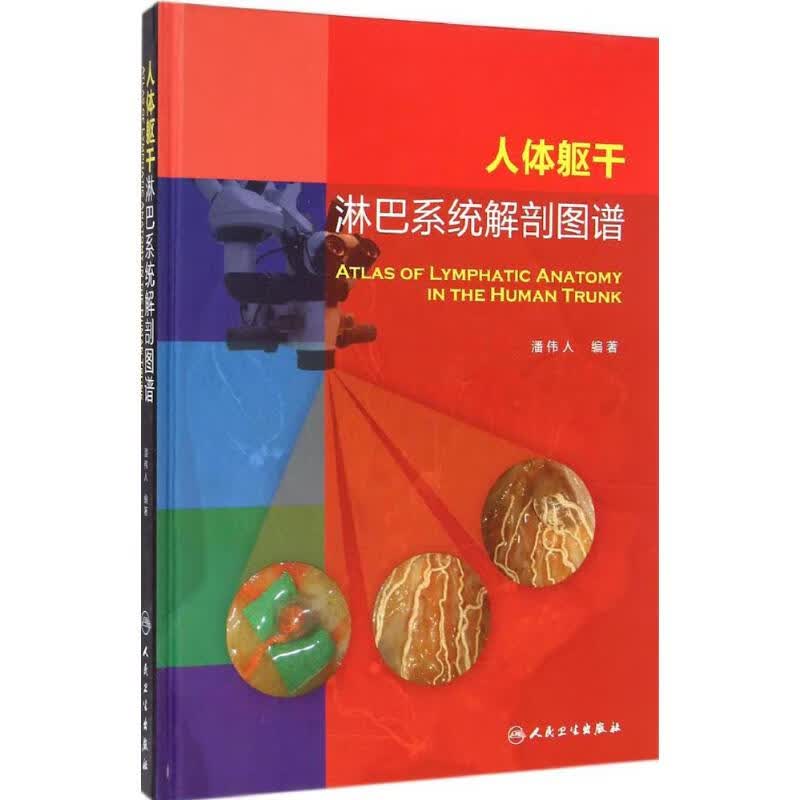 人体躯干淋巴系统解剖图谱