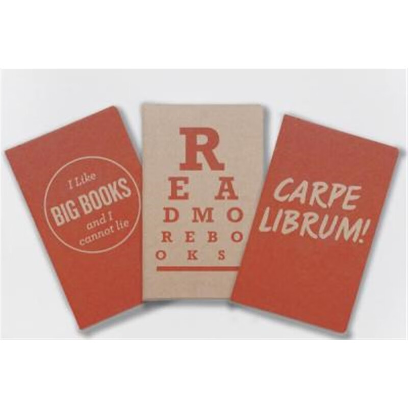I Like Big Books Notebooks