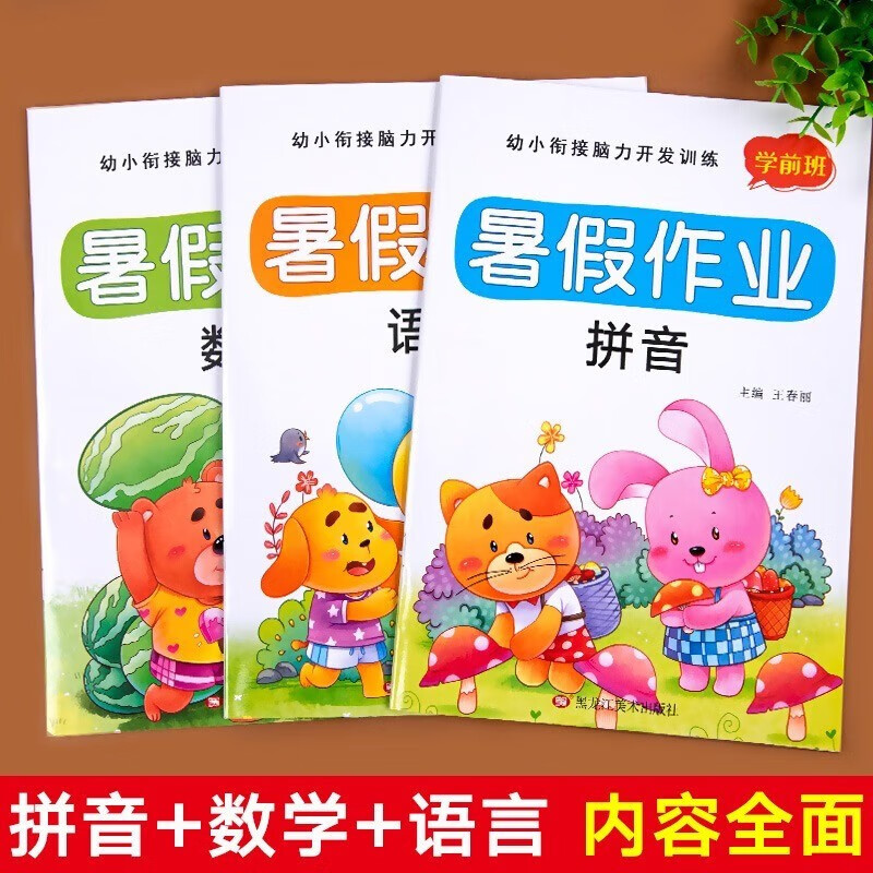 全3册幼小衔接暑假作业为一年级做准备4-7岁儿童数学幼儿园拼音练习册拼音数学语言