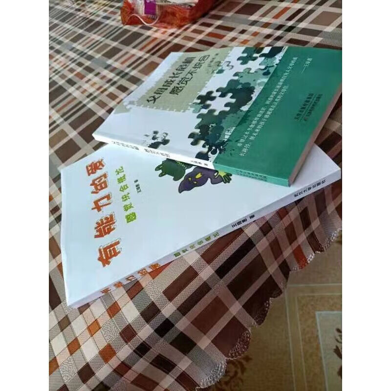 有能力的爱 + 父母 感觉统合概论-王臻慧著 2本 成长危机