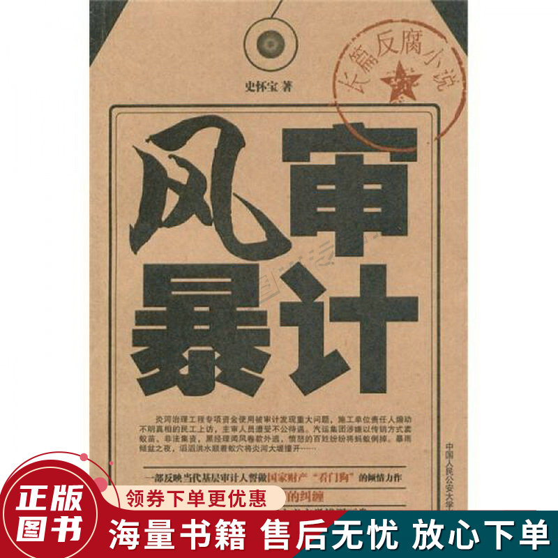 审计风暴