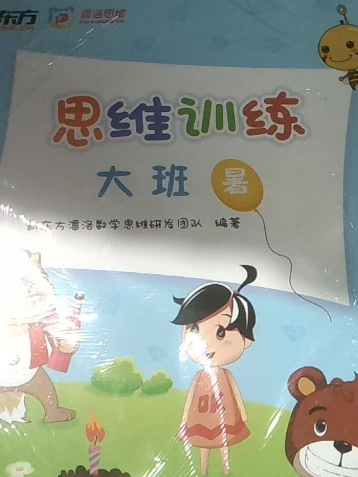 思维训练(大班暑)