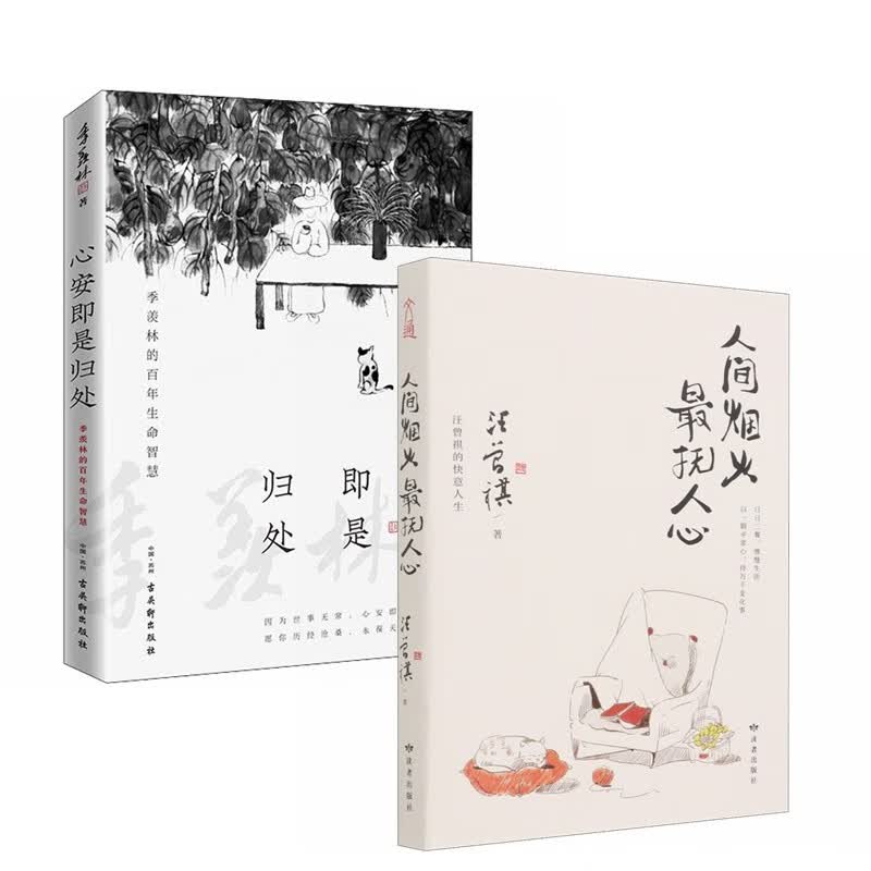 心灵读本：心安即是归处+人间烟火 最抚人心（套装2册）