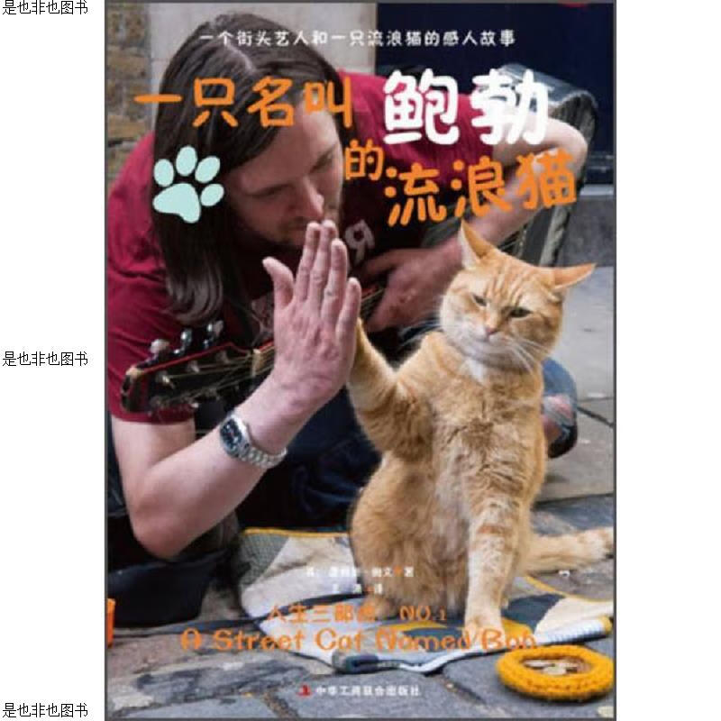 一只名叫鲍勃的流浪猫