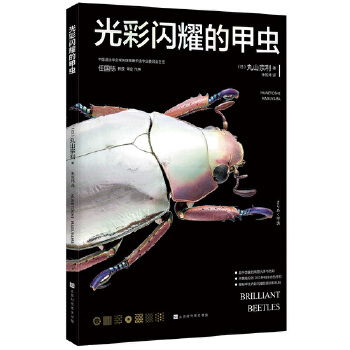 光彩闪耀的甲虫 zdj 湖北 北京时代华文书局
