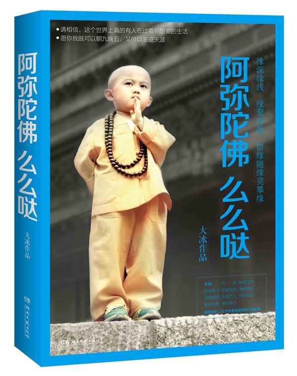 阿弥陀佛么么哒 大冰 湖南文艺出版社 9787540472238
