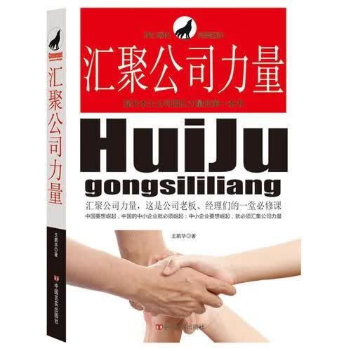 汇聚公司力量9787517100188中国言实出版社