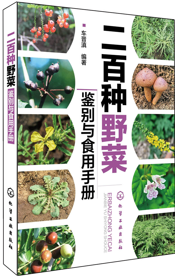 二百种野菜鉴别与食用手册