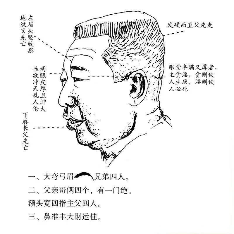图解版面相手相版面相合集32K实用书籍好书推荐 32开看面 单本