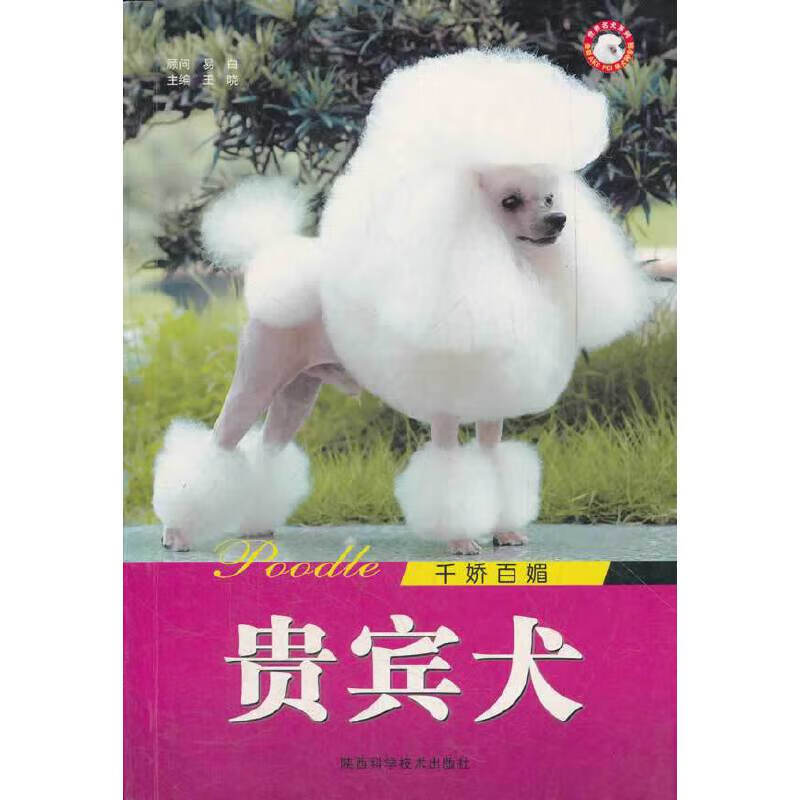 千娇百媚贵宾犬/世界名犬系列