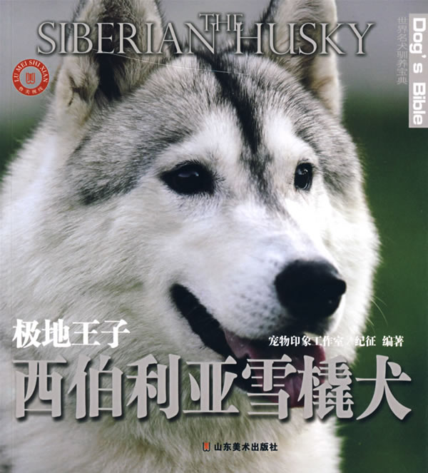 极地王子 西伯利亚雪橇犬 纪征【，放心购买】
