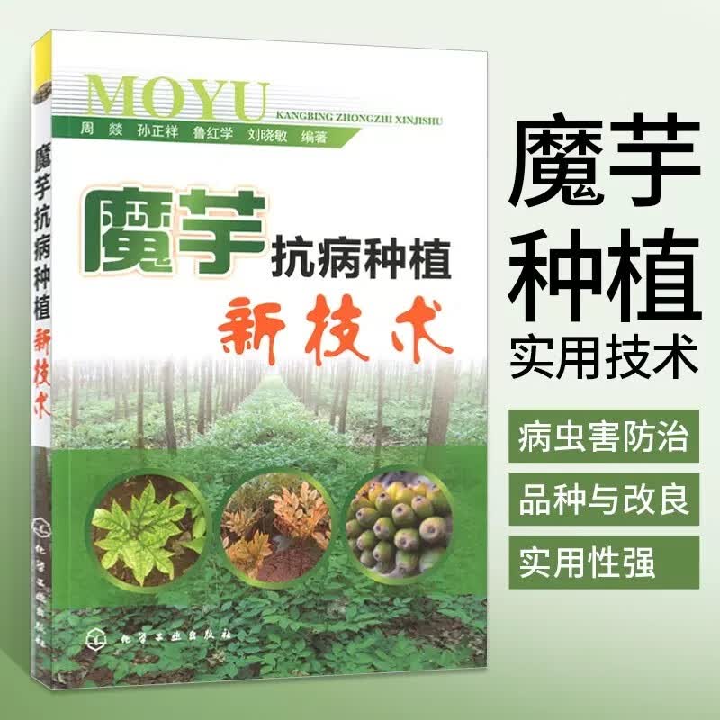 魔芋抗病种植新技术 魔芋种植技术要点难点 魔芋种植品种选择 魔芋品种改良策略 魔芋病虫害防治 魔芋根腐病防控策略 魔芋种植实用技术应 经济作物种植技术书籍 周燚 化学工业出版社