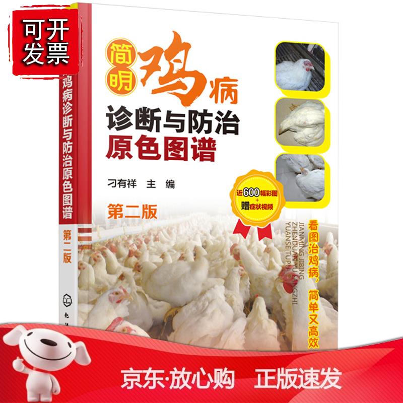 简明鸡病诊断与防治原色图谱（第二版）刁有祥 看图治鸡病的诊疗技术兽医技术人员养鸡专业大户参考读物鸡病