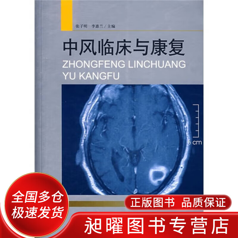 中风临床与康复【精选】